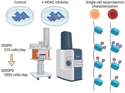 Thomas Carrell On Linkedin Lcms Singlecell Proteomics