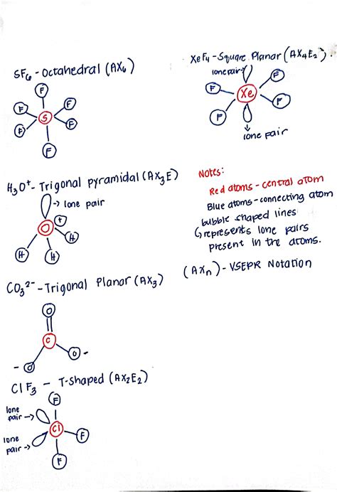 [solved] Thank You Match Each Molecule With The Correct Molecular Course Hero