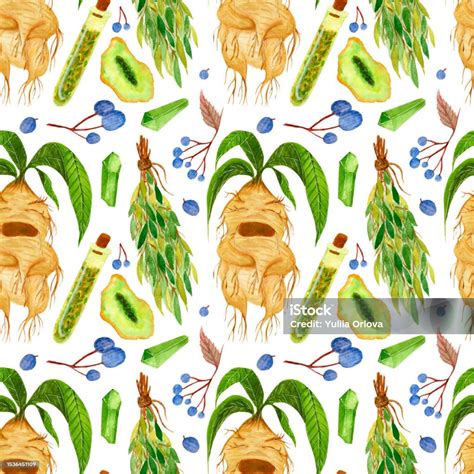 수채화 무늬 녹색 잎 블루 베리 흰색 배경에 다양한 허브가 있는 마법의 맨드레이크 뿌리 가을에 대한 스톡 벡터 아트 및 기타 이미지 Istock