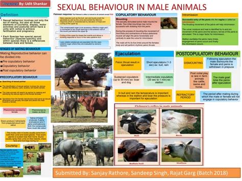 Sexual Behaviour Pattern Poster Pdf Biological Sciences Science