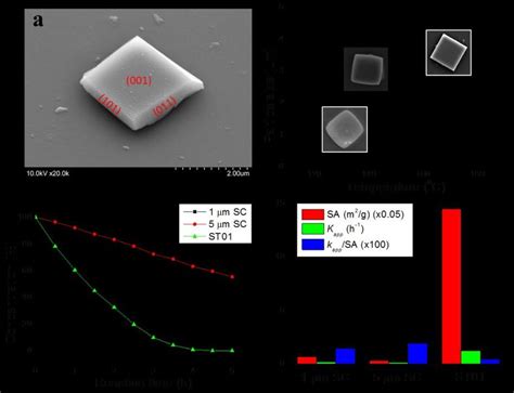 A SEM Image Of A Micrometre Sized TiO 2 Single Crystal With A High Download Scientific
