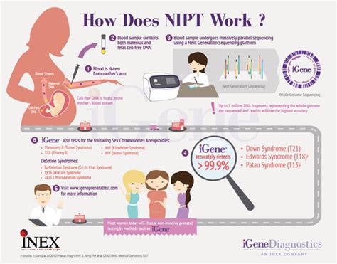 How To Read Nipt Results