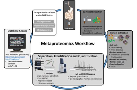 宏蛋白质组学 Westlake Omics ｜ 西湖欧米（杭州）生物科技有限公司
