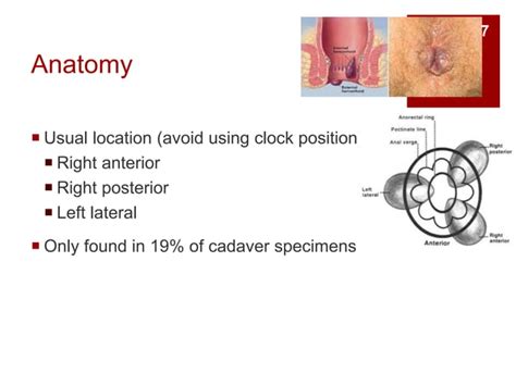 Benign Anorectal Conditions Ghanapptx
