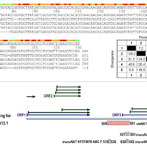 A Multiple Sequence Alignment Megalign DnaStar Lasergene Of Y N K