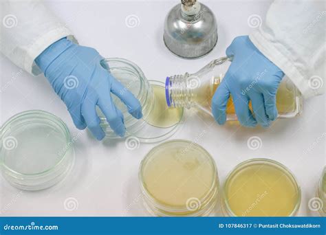 The Pour Plate Method Where In The Sample Is Suspended Stock Image Image Of Cell Plate 107846317