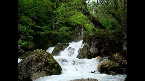 მაგარი სიმღერა და კლიპი Youtube