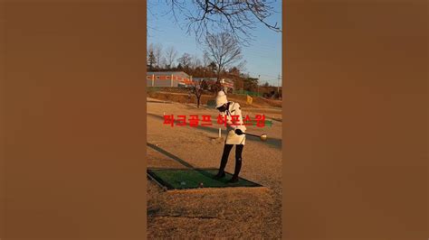 파크골프 미녀파크골퍼 방화영 파크골프 하프스윙 파크골프스윙 파크골프 파크골프채 파크골프티샷 파크골프퍼팅 파크골프대회 피닉스 Youtube
