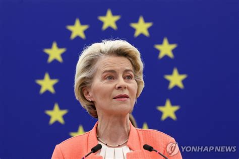 Eu 중국산 전기차 징벌적 관세 부과하나中 보복조처 우려도 나무뉴스