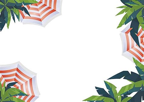 Palm Tree Frame PNG Transparent Images Free Download Vector Files Pngtree