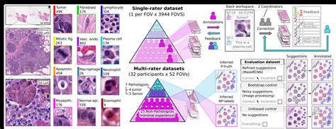Nucls Nucls Grand Challenge