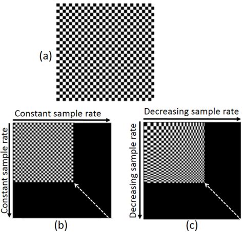 elastic downsampling an adaptive downsampling technique to preserve