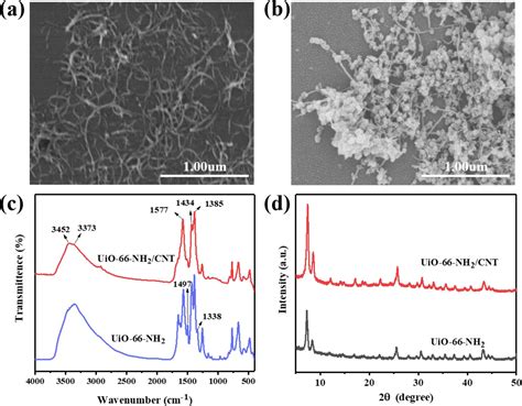 Enhanced Proton Transport Properties Of Sulfonated Polyarylene Ether Nitrile Spen With