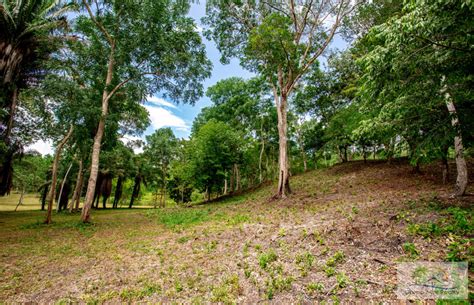 Mopan River State Lots Grupo Mar Realty