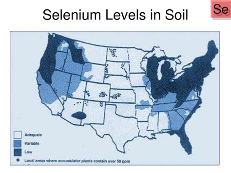 Ppt Consequences Of Mineral And Deficiencies Powerpoint Presentation