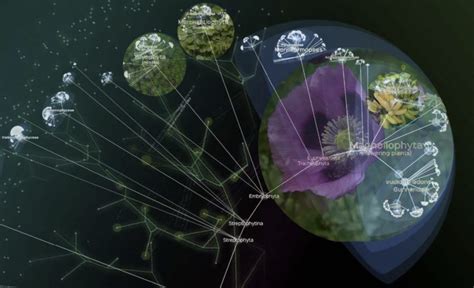 Aman Jaggi On Linkedin Biodiversity The ‘other Cop