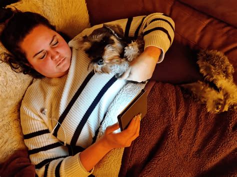 Life Doesnt Get Better Than This R Schnauzers