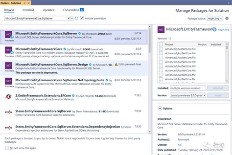 Entity Framework Core 安装 董川民
