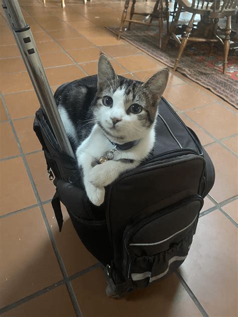 Youre Not Going Anywhere Without Me Unless Its Back To The