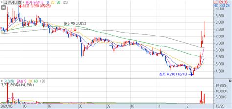 그린케미칼 주가 And 전망 장중 분석 데이터 241220