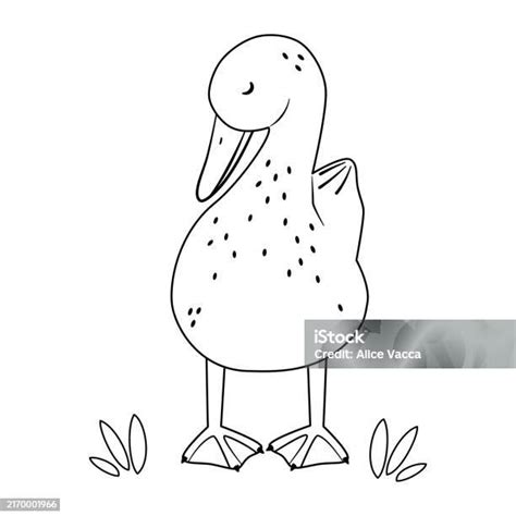 귀여운 손으로 그린 흑백 만화 캐릭터 오리 벡터 일러스트 레이 션은 색칠 예술을 위해 흰색 배경에 고립되어 있습니다 깃털에 대한 스톡 벡터 아트 및 기타 이미지 Istock