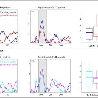 Activity In The Left And Right Auditory Cortex Shows Differences In The Download Scientific