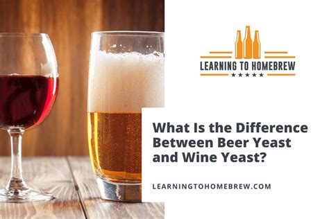 What Is The Difference Between Beer Yeast And Wine Yeast