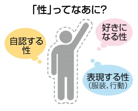性の組み合わせ 無限人の数だけ違う わたしからあなたへ 多様な性ってなあに 社会 福井のニュース 福井新聞D刊