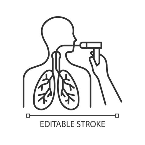 1600개 이상의 내시경 스톡 일러스트 Royalty Free 벡터 그래픽 및 클립 아트 Istock