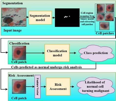 [논문 리뷰] Deep Learning Enabled Segmentation Classification And Risk