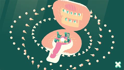 Vignettes Gamin Vignettes Gamin