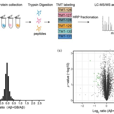 Global Proteome Profiling Of N2a Cells With Gb Pretreatment A Download Scientific Diagram
