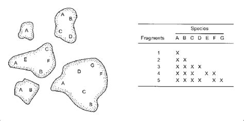 Diagrammatic Representation Of A Nested Subset Species Poor Fragments Download Scientific