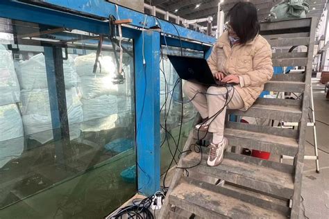 海洋强国 潮涌东海 央广网