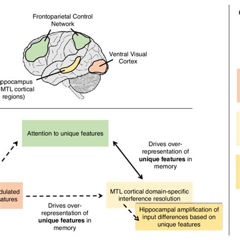 schematic of proposed cortico hippocampal pattern separation chips