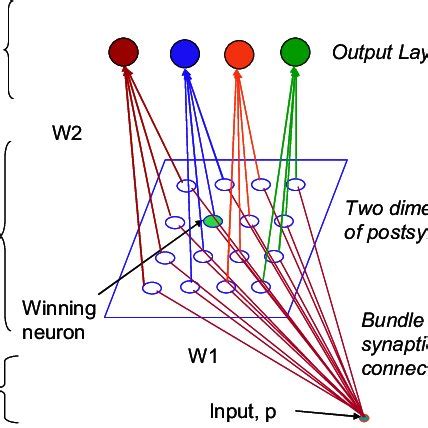 Learning Vector Quantization Neural Network Download Scientific Diagram