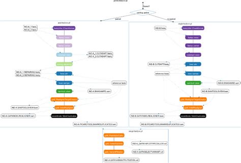 Pipeline DNAseq Presentation Basic Overview Of The PairAnalysis Pl Download Scientific