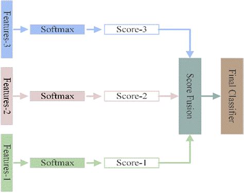 Network Structure Of Score Level Fusion Download Scientific Diagram