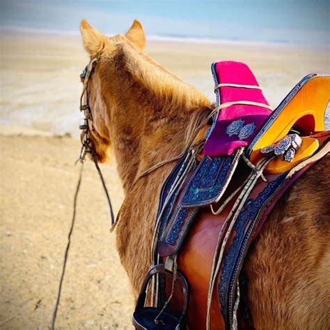 Удам залгасан Тод манлай Уяач ️‍🔥Удахгүй аавынхаа улсын наадамд зургаан нас түрүүлгэсэн амжилтыг