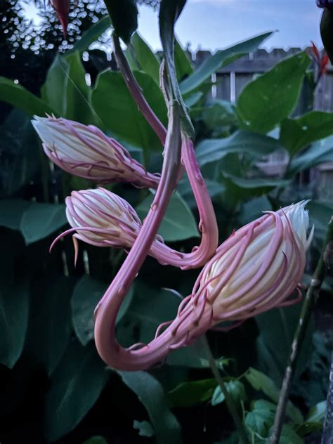 Autumn Meadow Autumn Meadow Added A New Photo