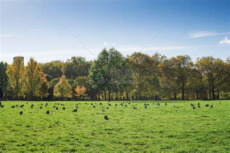 美丽的植被景观高清图片下载 正版图片303321134 摄图网