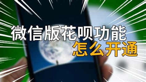 微信版花呗怎么开通 微信版花呗如何开通 天奇生活