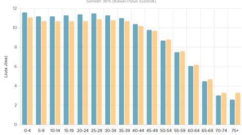 Proporsi Penduduk Indonesia Berdasarkan Jenis Kelamin Per Mei 2025