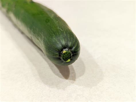 きゅうりを買うときは“皮”を見て！おいしい「きゅうり」を見分ける3つのポイント