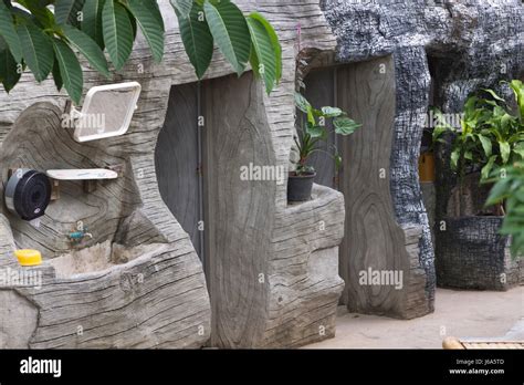 Processed Toilet In A Tree Trunk Stock Photo Alamy