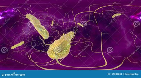 Clostridium Difficile Bacteria 360 Degree Spherical Panorama View Stock Illustration