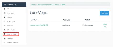 View Server Logs SetupServer Io