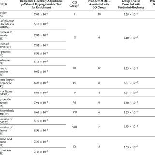 The Results Of Enrichment Analysis Of Data Obtained By RNA Seq Analysis