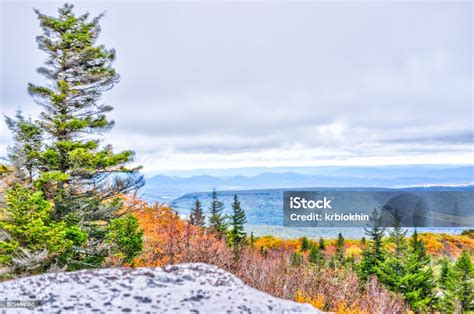 푸른 하늘과 황금 노란 오렌지 단풍 Dolly Sods 곰 바위 웨스트 버지니아 산 골짜기 구름 한 소나무의 간과 함께 아침 어두운 일출 0명에 대한 스톡 사진 및 기타