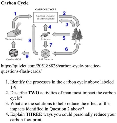 Solved Carbon Cycle Carbon Cycle Carbon Dioxide In Atmosphere Manufacturing 8 Plan 6 Coal And